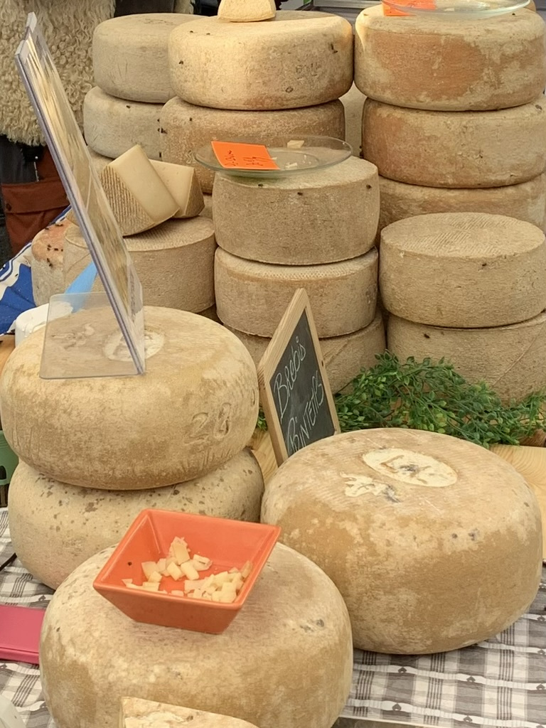 Cheese festival